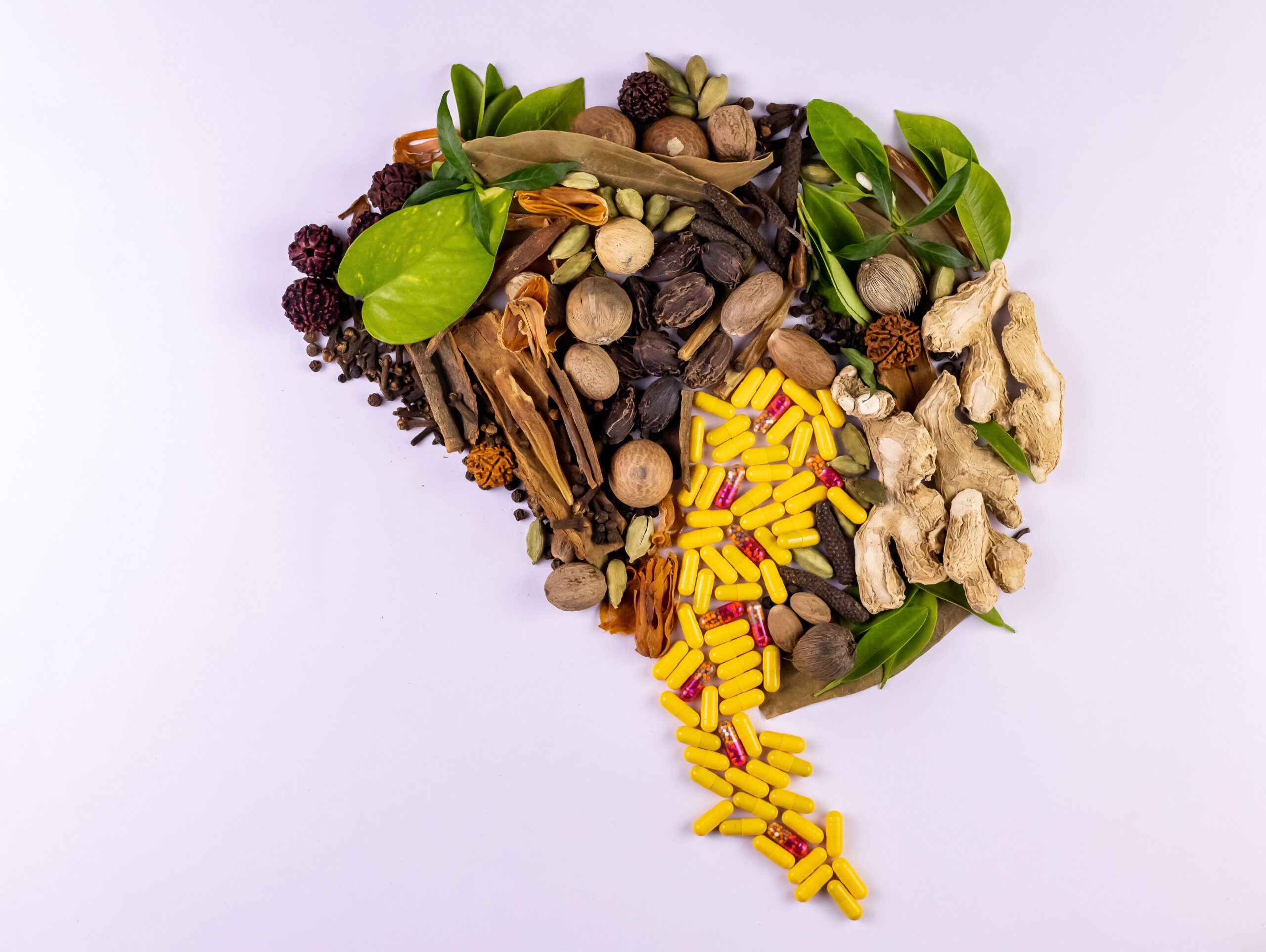 Ingredients | Vesta Nutra